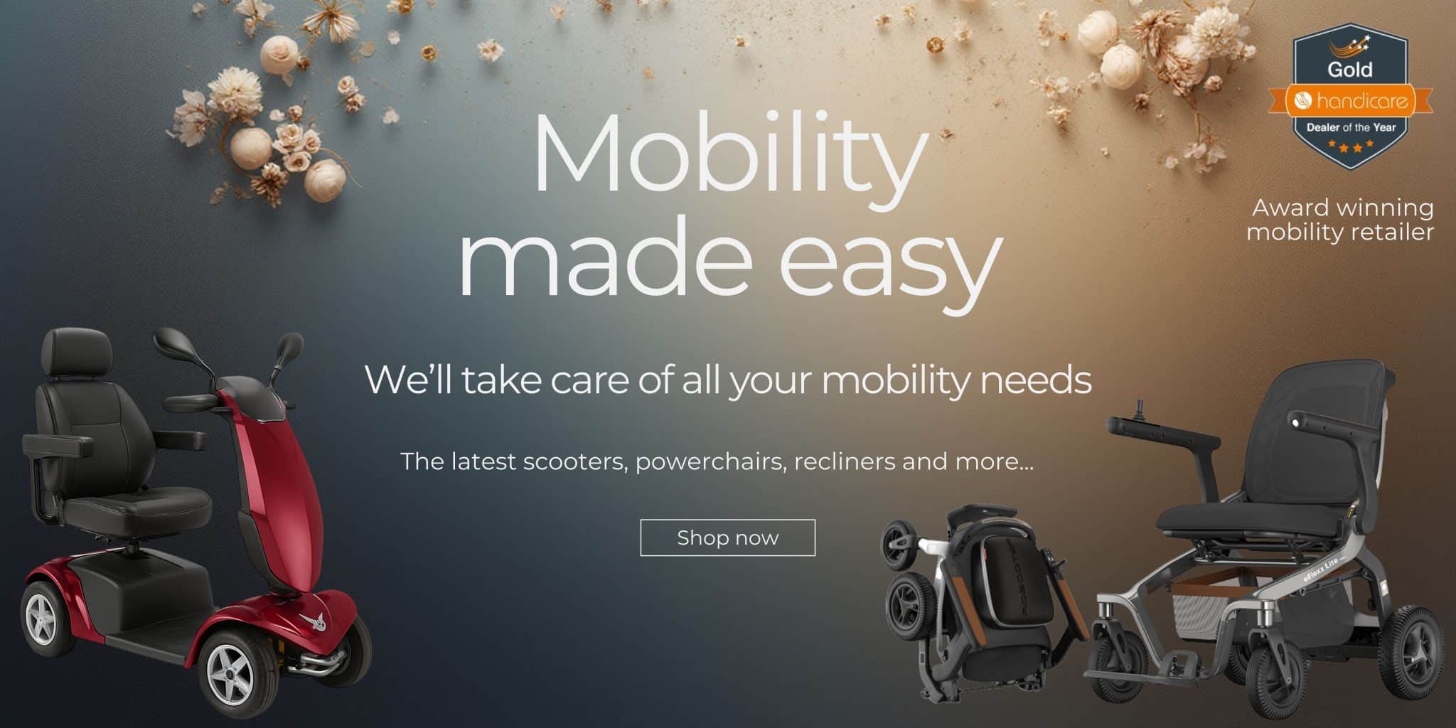 Mobility Aids in Essex - Easy Mobility Services